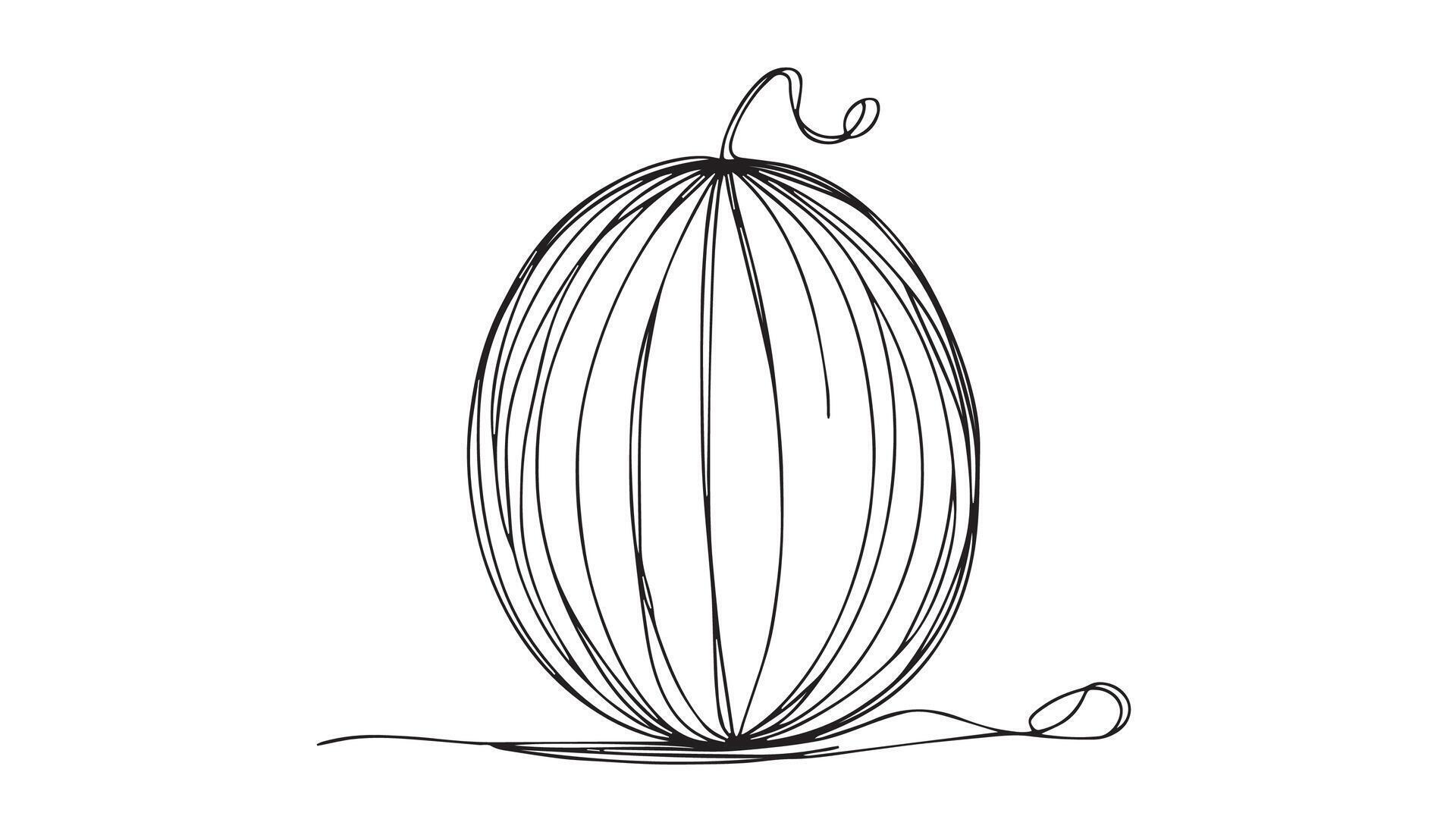 a drawing of a melon with a string 73926471 Vector Art at Vecteezy