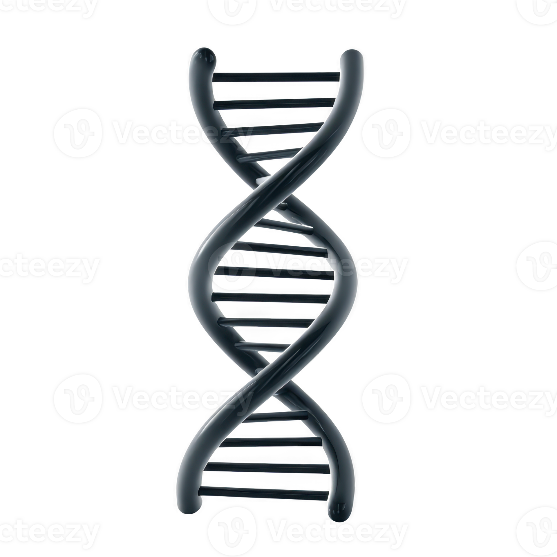 DNA double helix genetic structure molecular biology science 3D ...