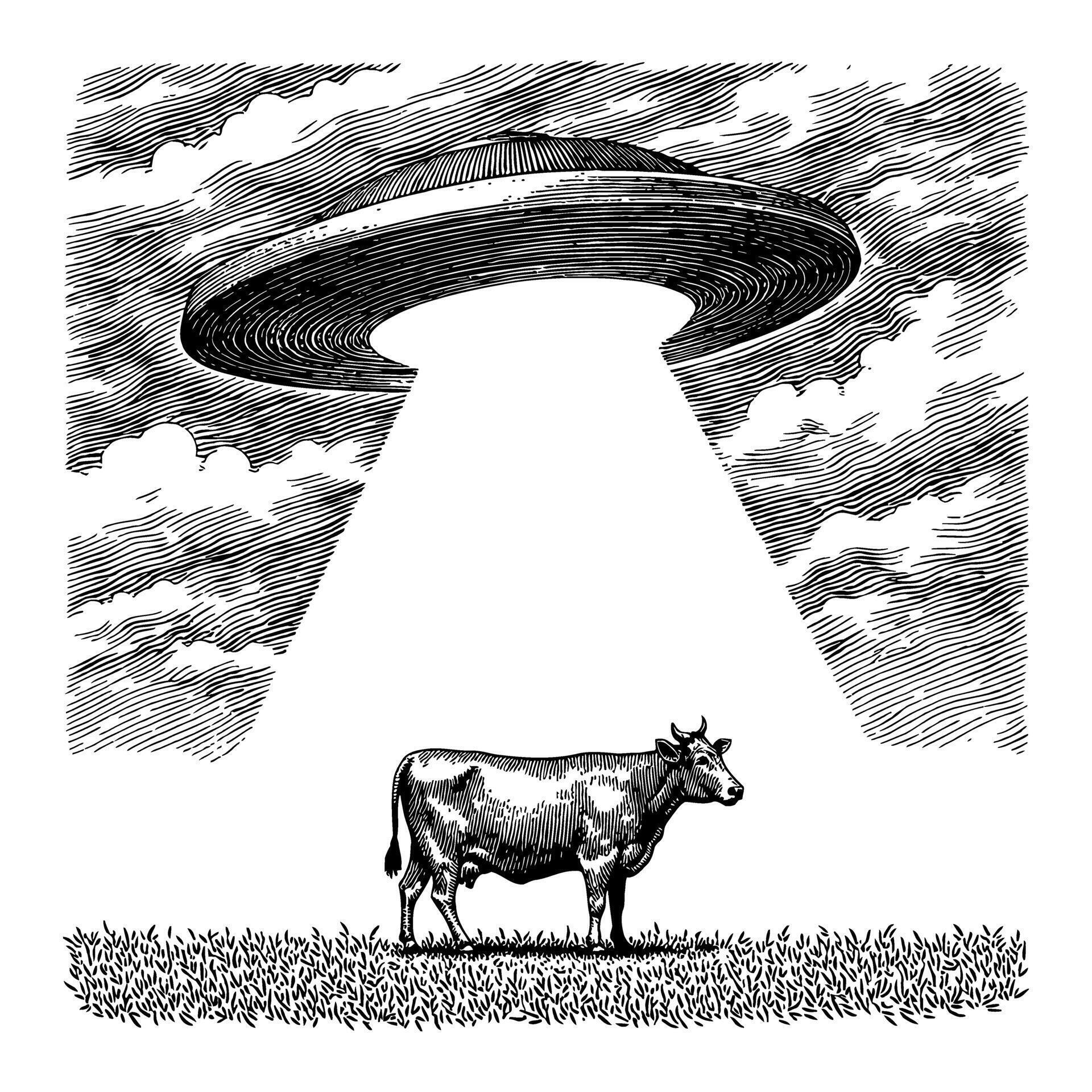 Cow Abduction by UFO Flying Saucer with Rays of Light Black and White ...