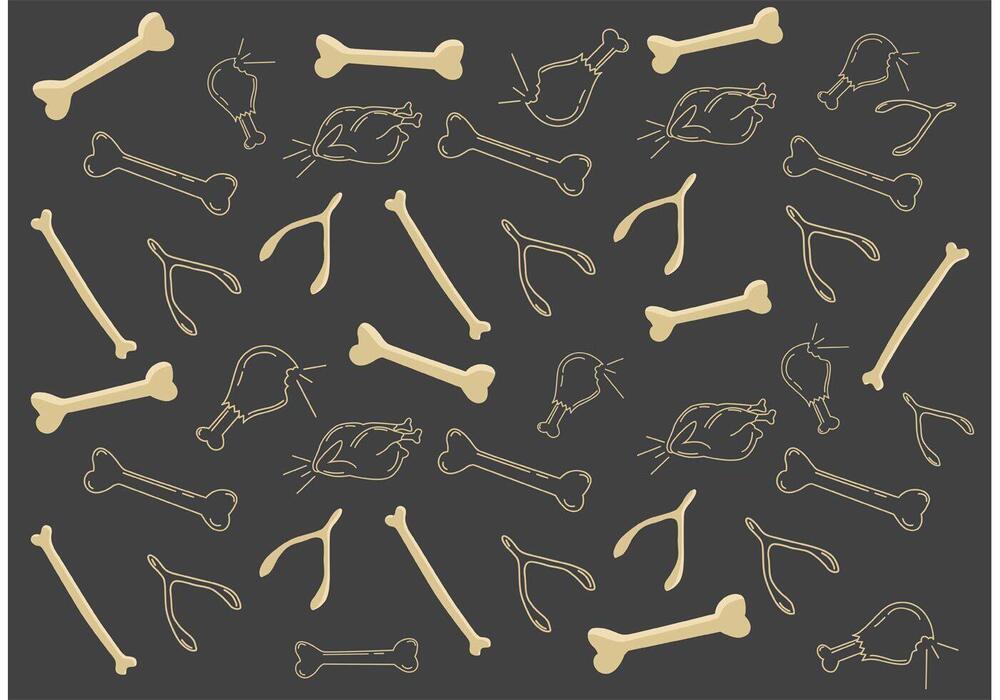 Bone Vector Art, Icons, and Graphics for Free Download