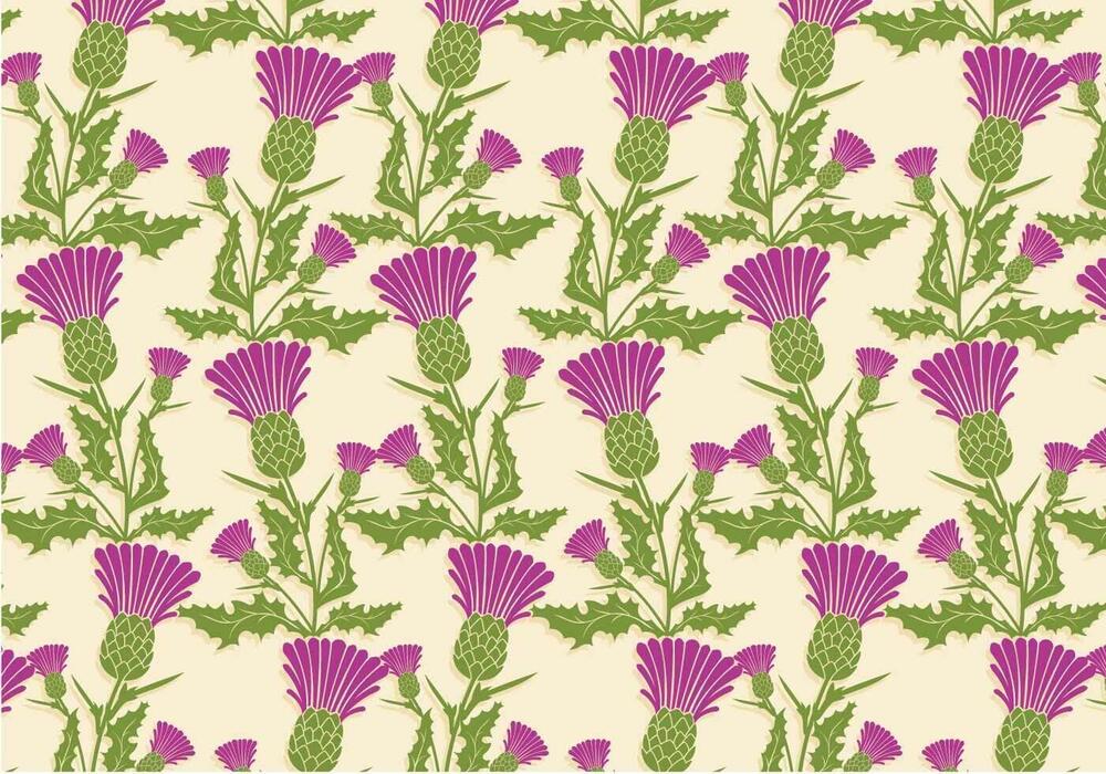 Thistle Vector Art, Icons, and Graphics for Free Download