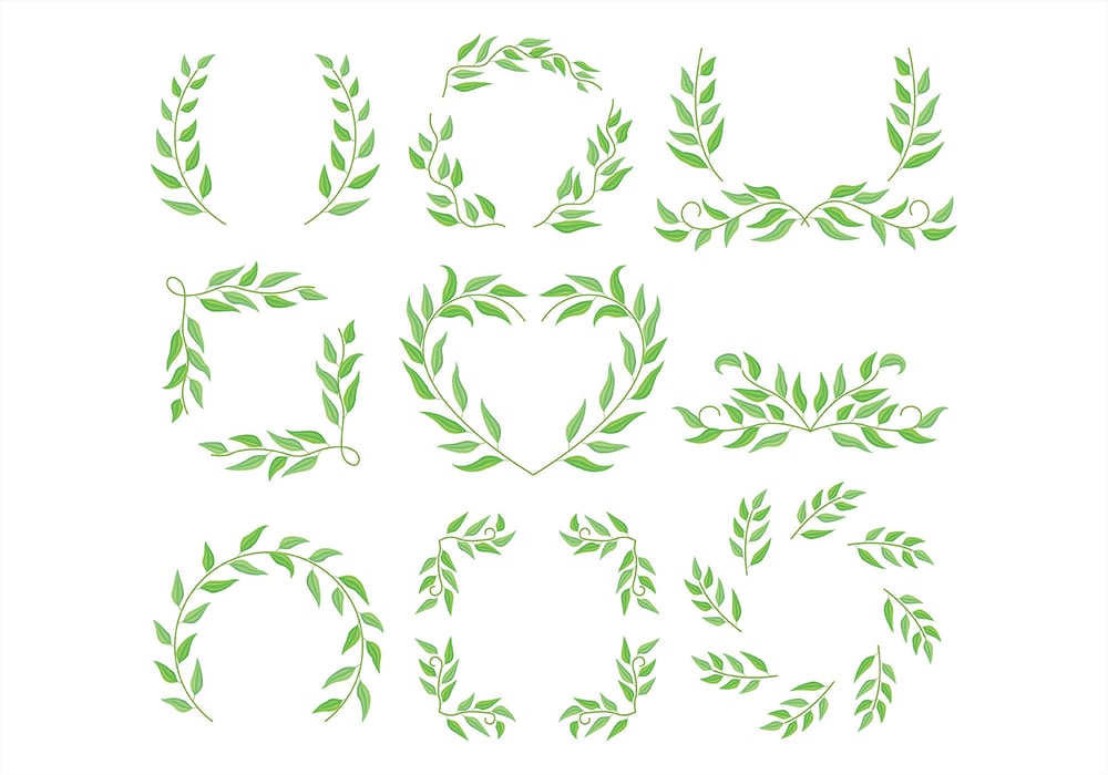 Plant Frame Vector Art, Icons, and Graphics for Free Download