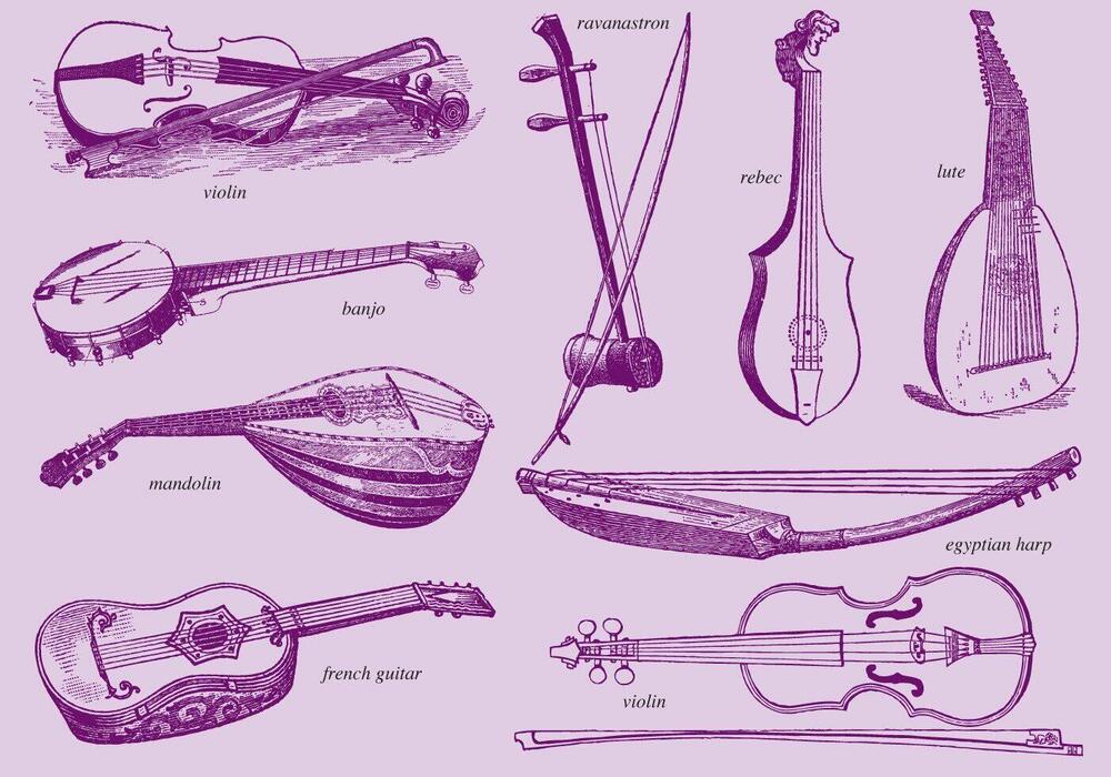 String Instruments Vector Art, Icons, and Graphics for Free Download