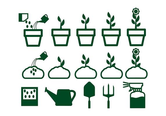 Plant Growth Vector Art Icons And Graphics For Free Download