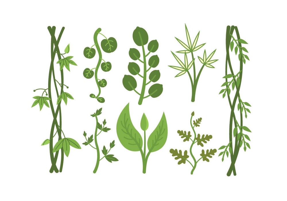 Plant Vector Art, Icons, and Graphics for Free Download