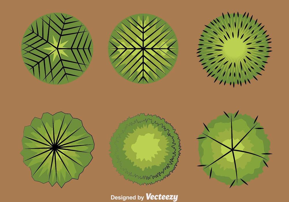 Page 5 | Tree Vector Art, Icons, and Graphics for Free Download