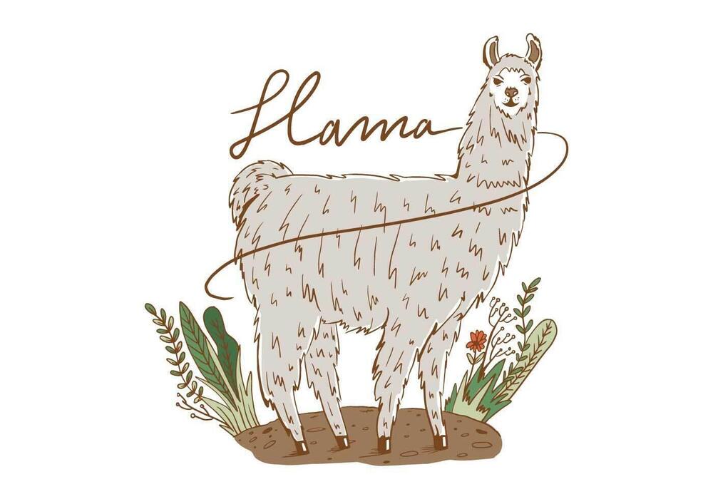 Llama Vector Art, Icons, and Graphics for Free Download