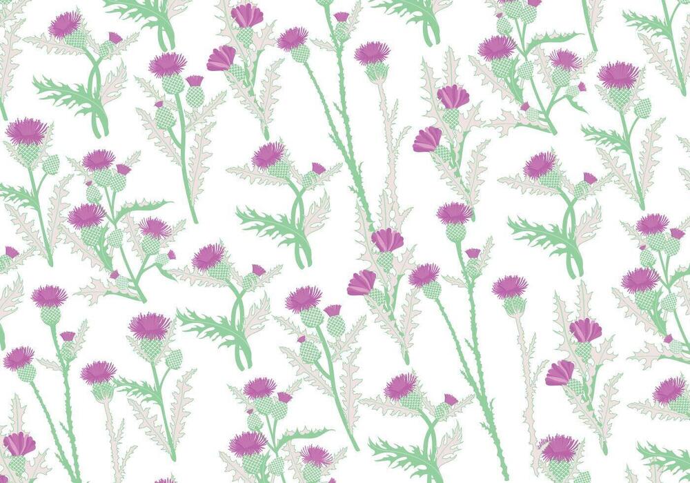 Thistle Vector Art, Icons, and Graphics for Free Download
