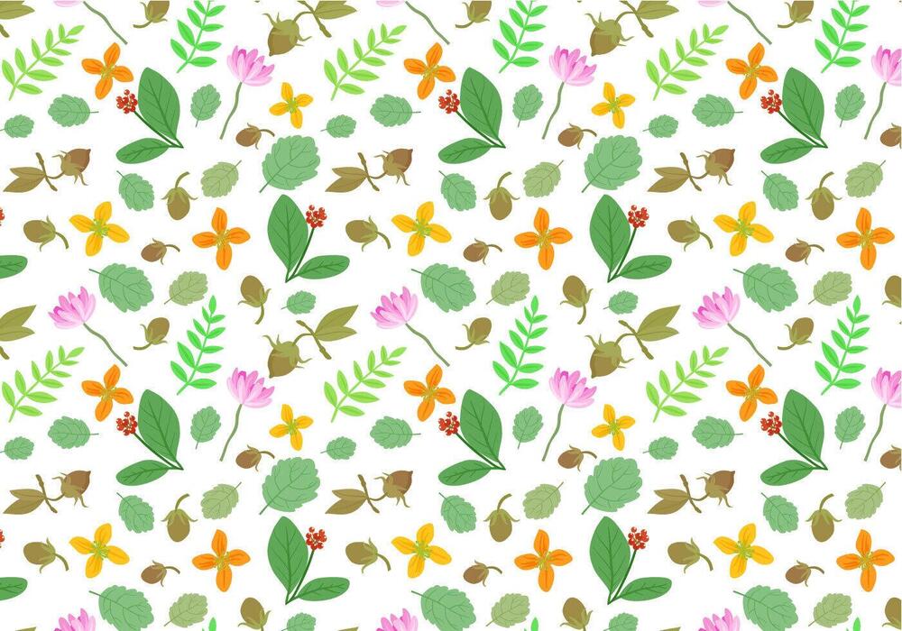 Plantas Medicinales Vectores, Iconos, Gráficos y Fondos para Descargar ...