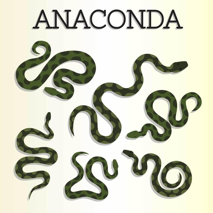 Anaconda Logo Vector Art, Icons, and Graphics for Free Download