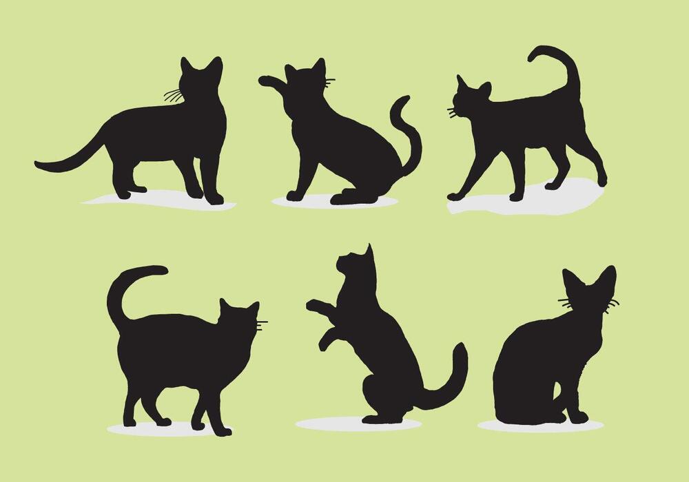 Cat Free Vector Art & Illustrations | 8,000+ Downloadable Files