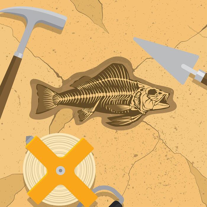 Fish Skeleton Vector Art, Icons, and Graphics for Free Download