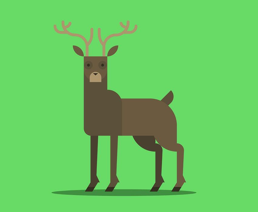 Simple Animals Vector Art, Icons, and Graphics for Free Download