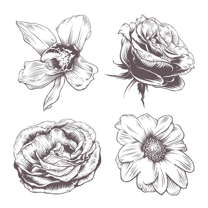 Flowers Brushes Vector Art, Icons, and Graphics for Free Download