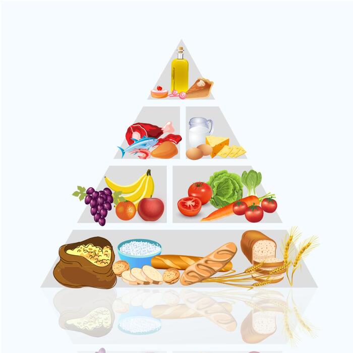 Food Pyramid Vector Art, Icons, and Graphics for Free Download