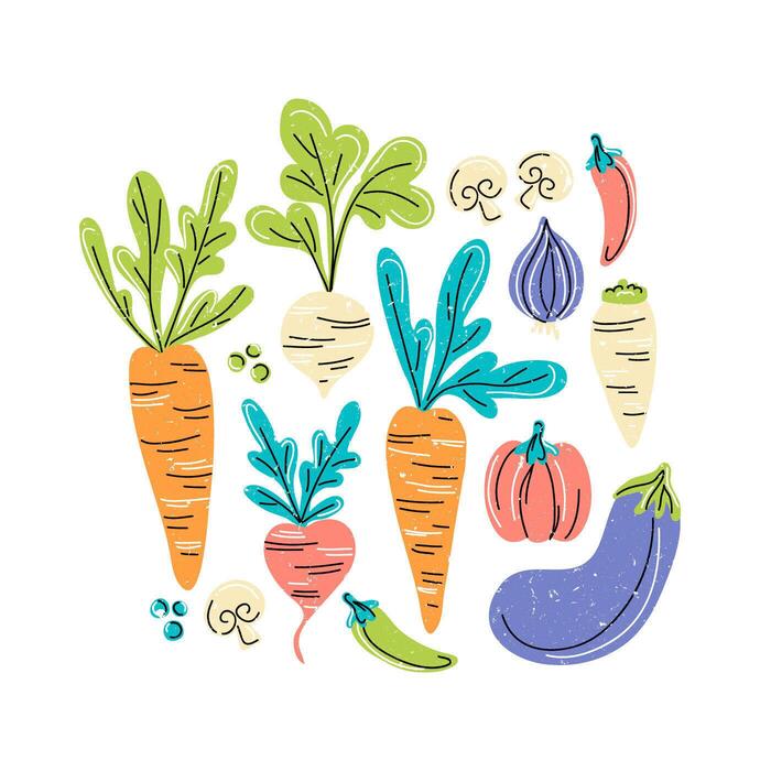 Vegetable Vector Art, Icons, and Graphics for Free Download