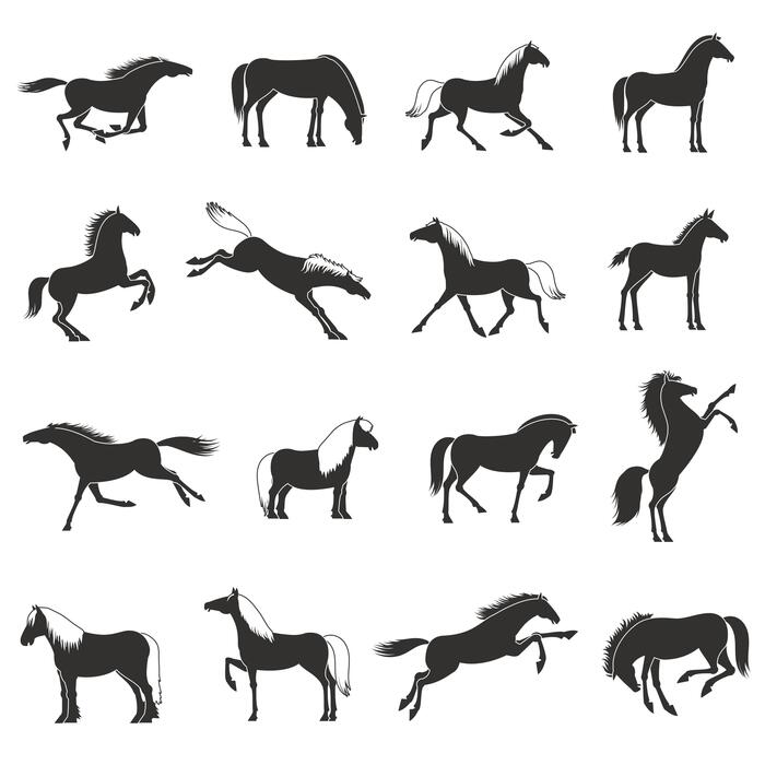 Black Horse Vector Art, Icons, and Graphics for Free Download