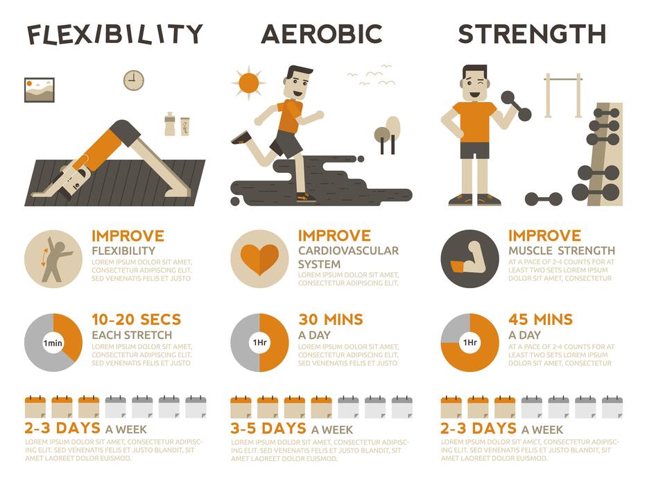 Fitness Infographic Vector Art, Icons, and Graphics for Free Download