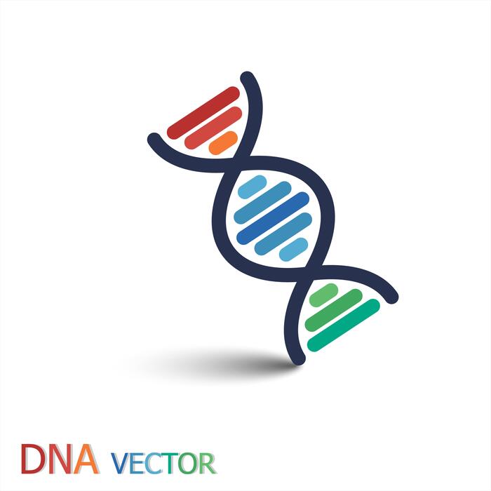 DNA & RNA Vectors 88822 Vector Art at Vecteezy
