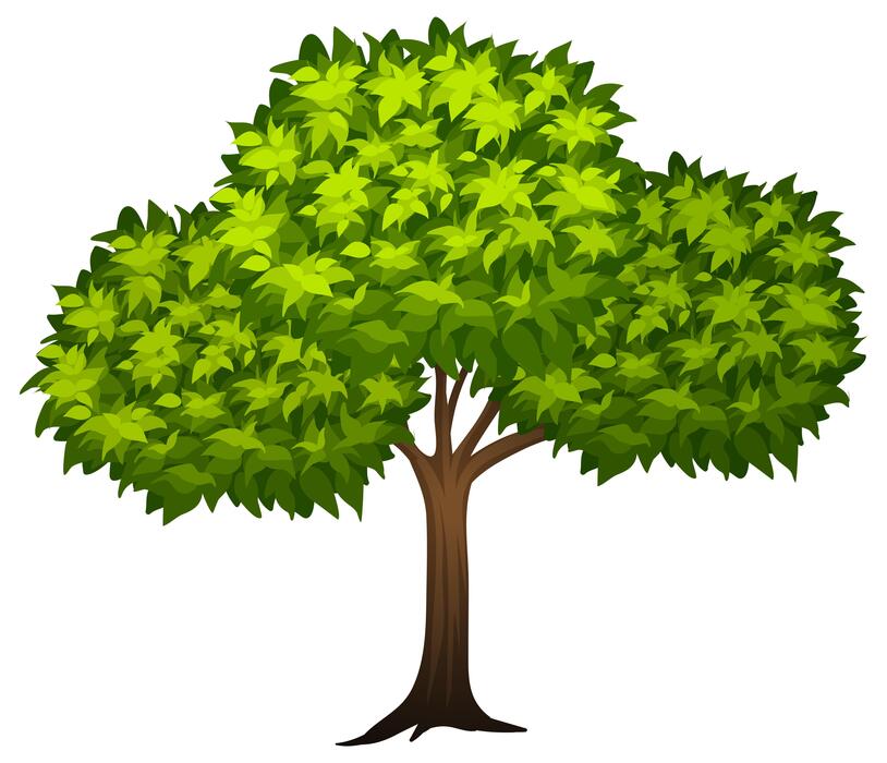 Tree Isolated Vector Art, Icons, and Graphics for Free Download