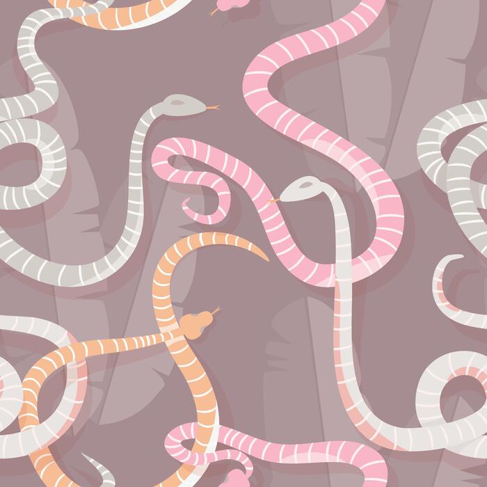Snake Seamless Pattern Vector Art, Icons, and Graphics for Free Download
