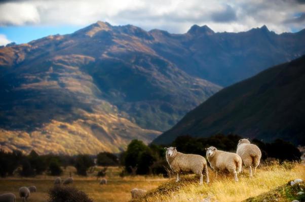 Mountain Landscape Stock Photos, Images and Backgrounds for Free Download