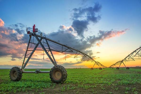 Irrigation Stock Photos, Images and Backgrounds for Free Download