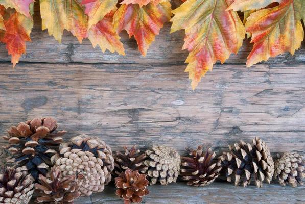 Fall Background Stock Photos, Images and Backgrounds for Free Download