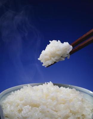 Rice Stock Photos, Images and Backgrounds for Free Download