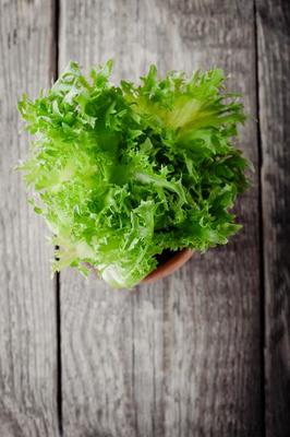 Lettuce Stock Photos, Images and Backgrounds for Free Download