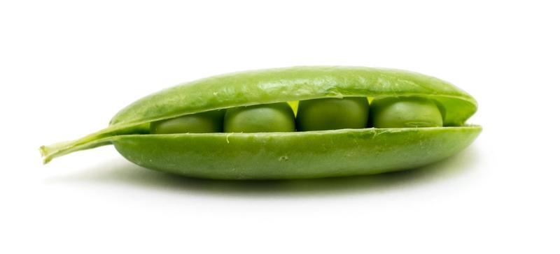 Pea Pod Stock Photos, Images and Backgrounds for Free Download