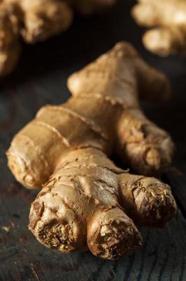 Ginger Stock Photos, Images and Backgrounds for Free Download