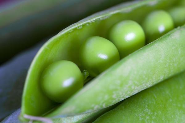 Peas Stock Photos, Images and Backgrounds for Free Download