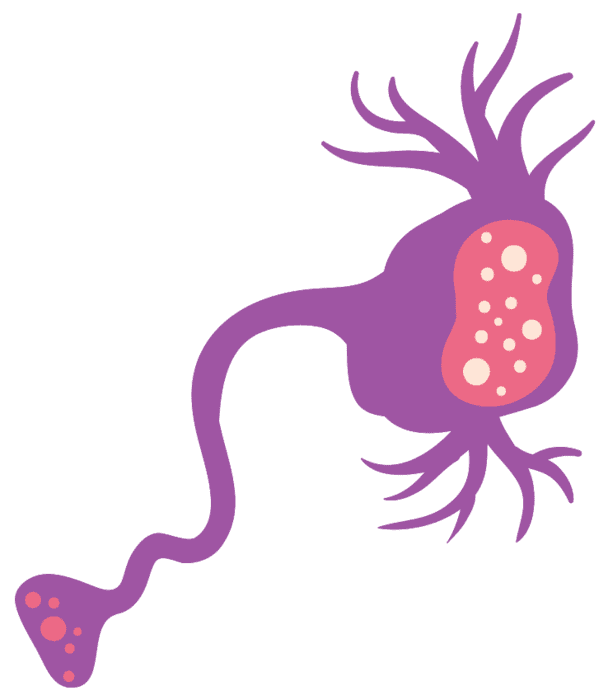 Neuron PNGs for Free Download