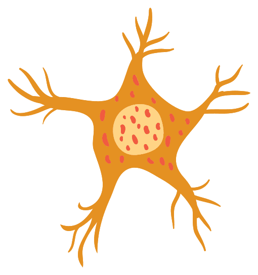 Neuron PNGs for Free Download