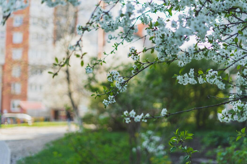 Modern Spring Stock Photos, Images and Backgrounds for Free Download