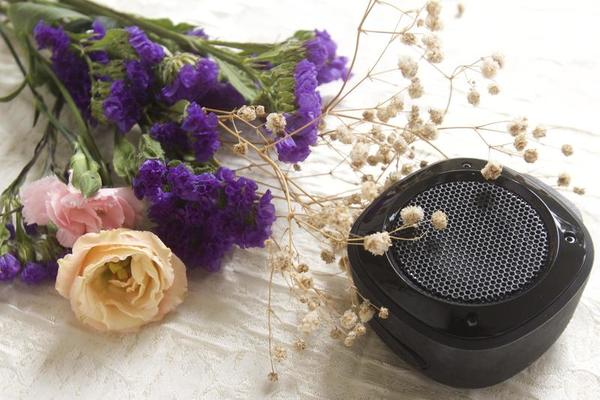 Amplifier Stock Photos, Images and Backgrounds for Free Download