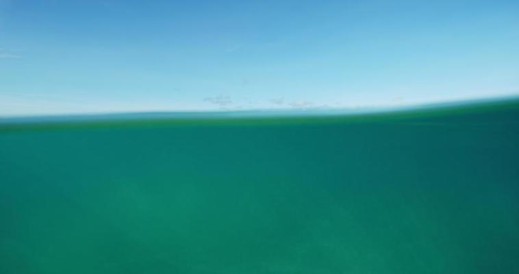 Ocean Stock Video Footage for Free Download