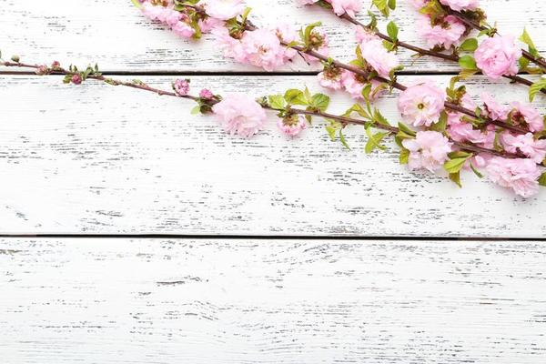 Spring Background Stock Photos, Images and Backgrounds for Free Download