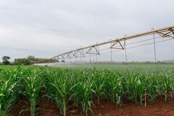Irrigation Stock Photos, Images and Backgrounds for Free Download