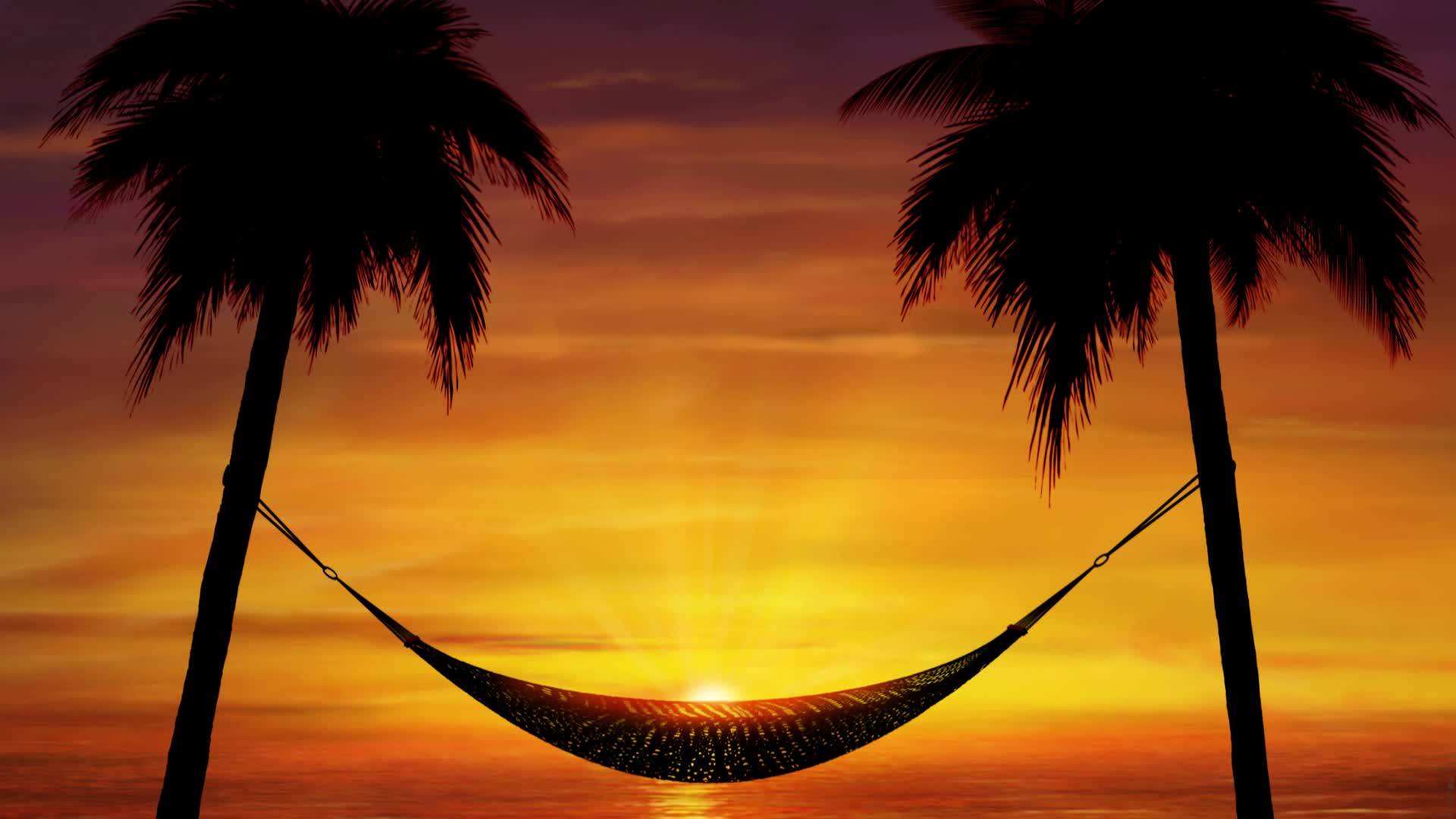 Relax Stock Video Footage for Free Download