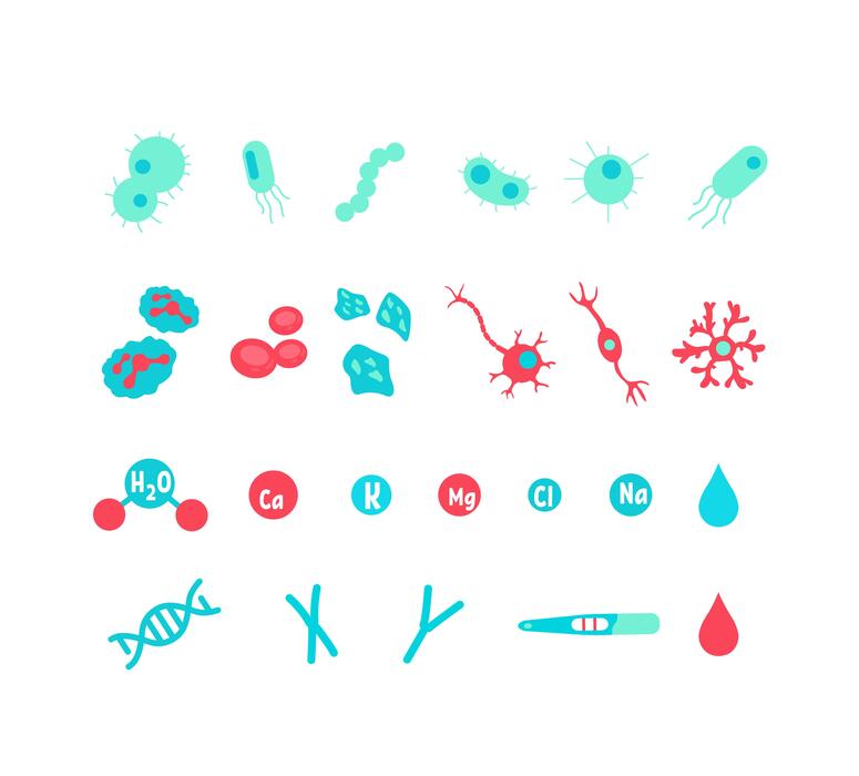 Biology Border Vector Art, Icons, and Graphics for Free Download