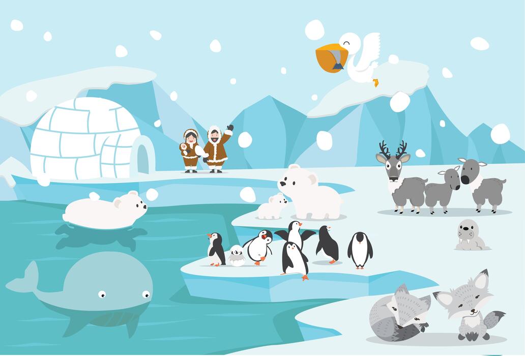 Arctic Animals Vector Art, Icons, and Graphics for Free Download