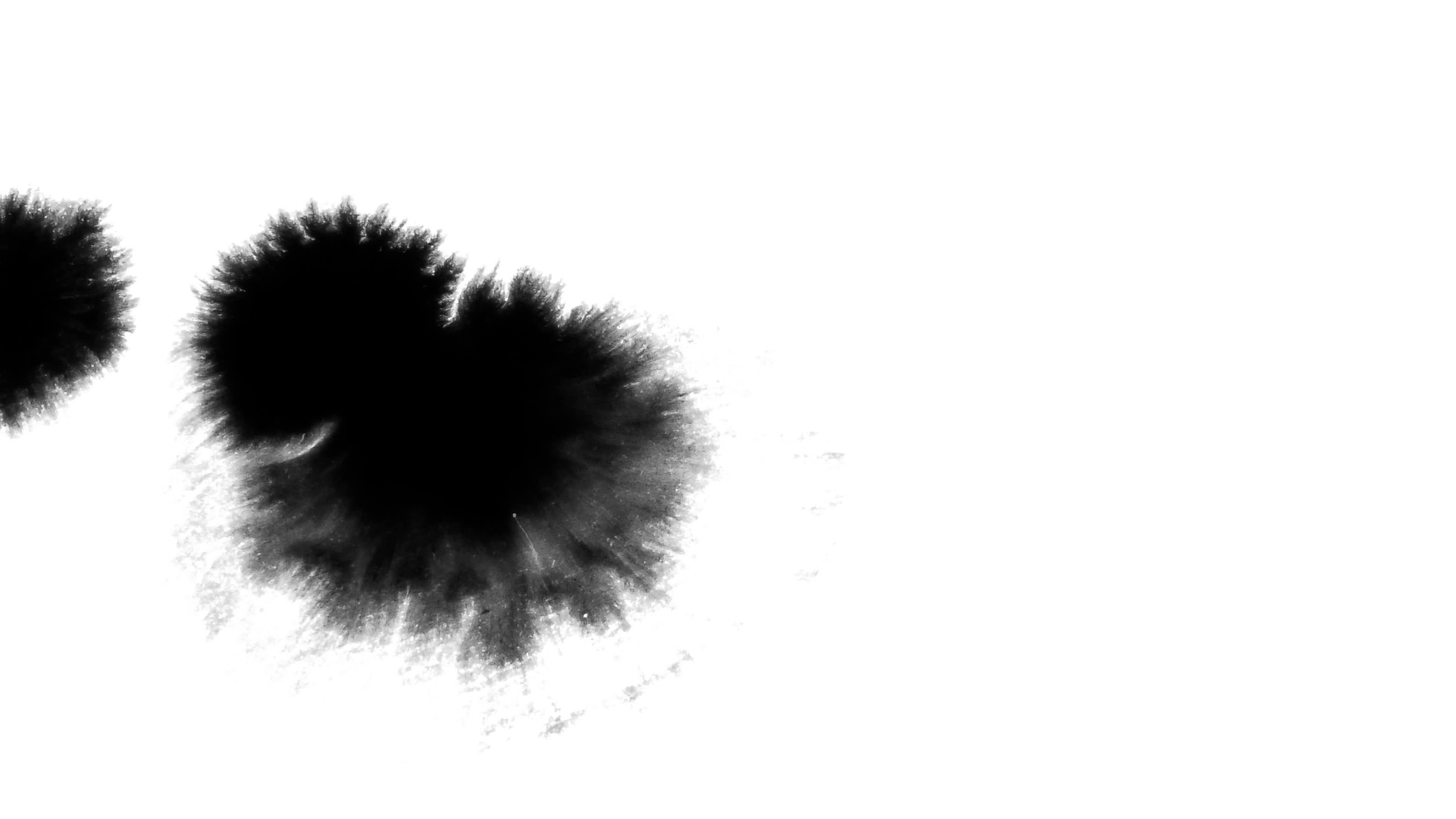 Ink Drop Paper Stock Video Footage for Free Download Ink Drop Paper Stock Video Footage for Free Download