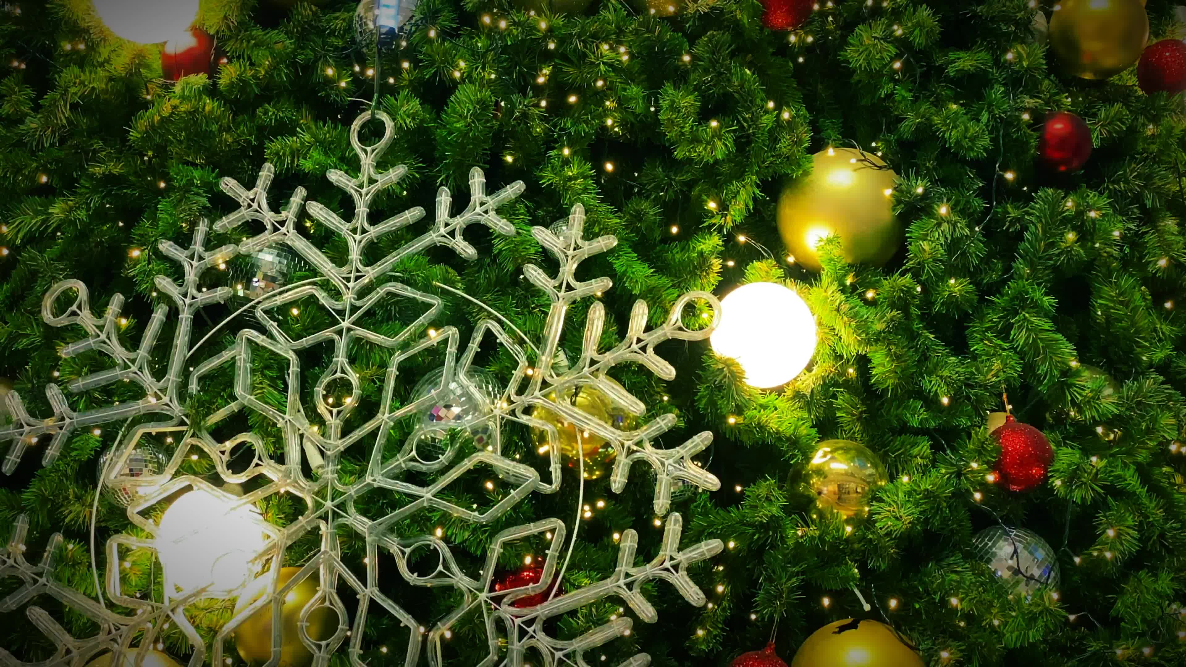 Snowflake light on Christmas tree. 1804378 Stock Video at Vecteezy