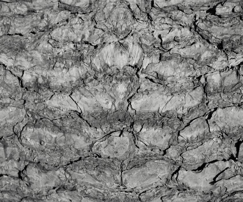 Abstract Background Texture Stock Photos, Images and Backgrounds for ...