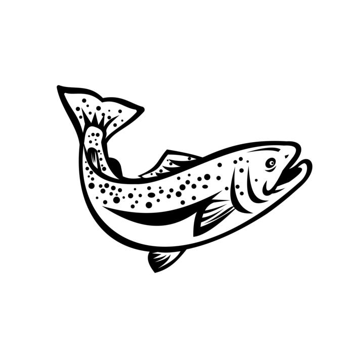 Trout Vector Art, Icons, and Graphics for Free Download