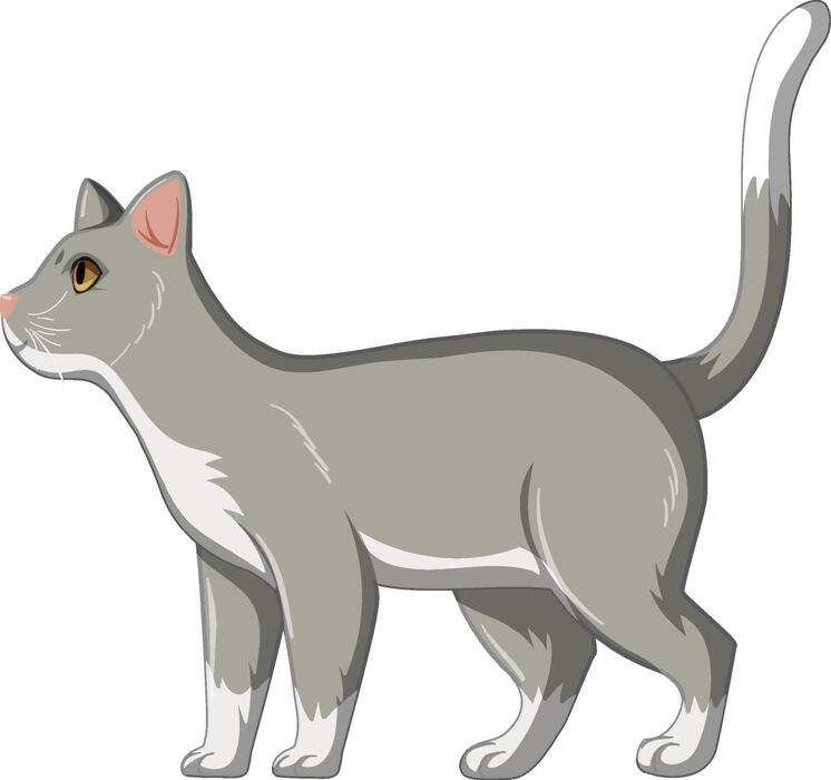 Grey Cat Vector Art, Icons, and Graphics for Free Download