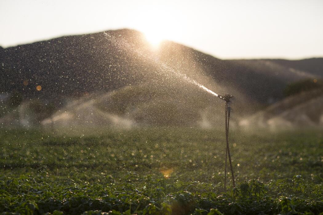 Irrigation System Stock Photos, Images and Backgrounds for Free Download