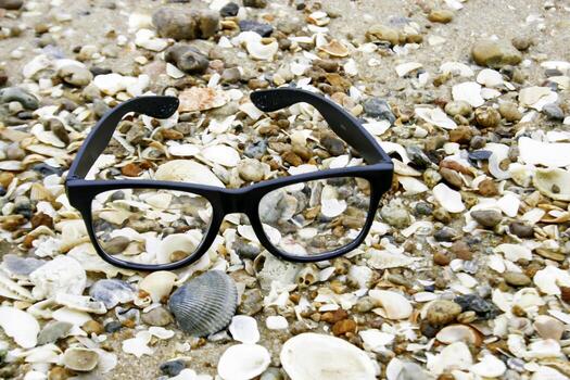 Free Sea Shells Stock Photos & Beautiful Royalty-Free Images